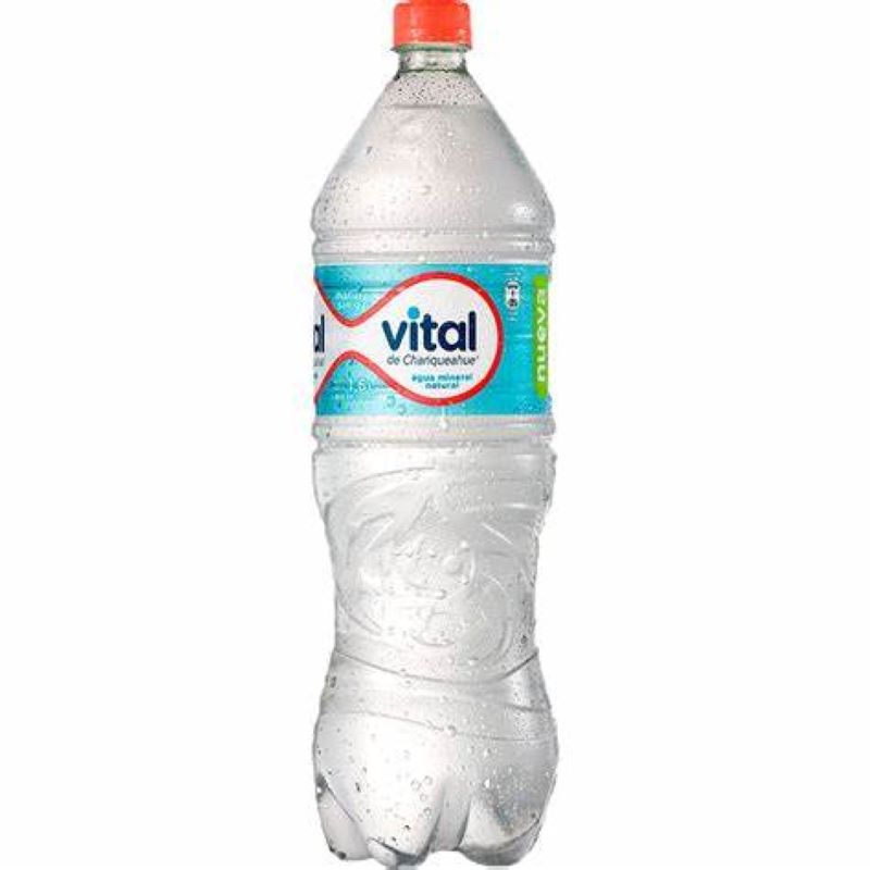 Agua Mineral sin gas Vital 600ml